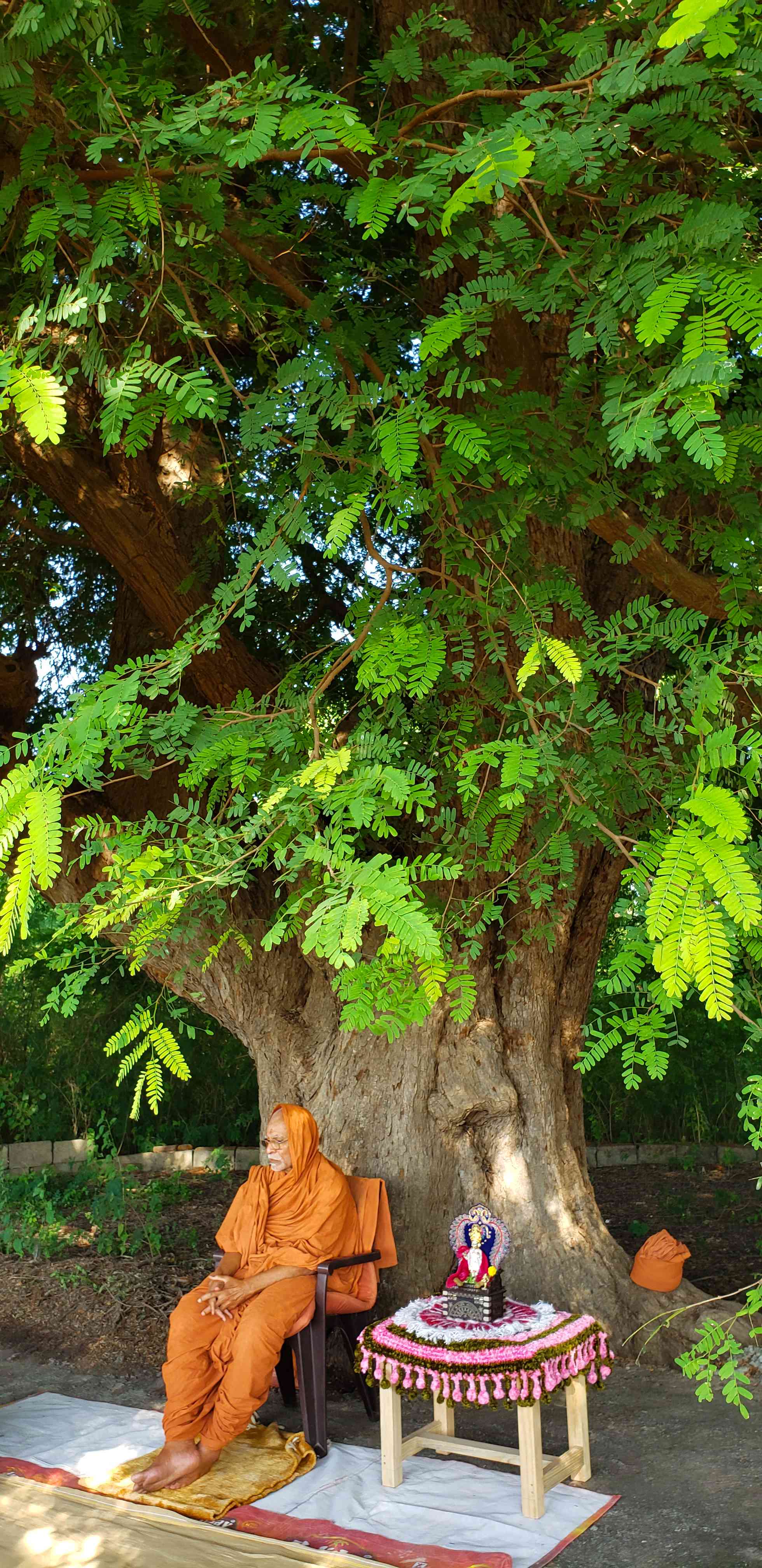Prasadi ni Aambali - Goraviyali | Swaminarayan Gurukul Rajkot Sansthan